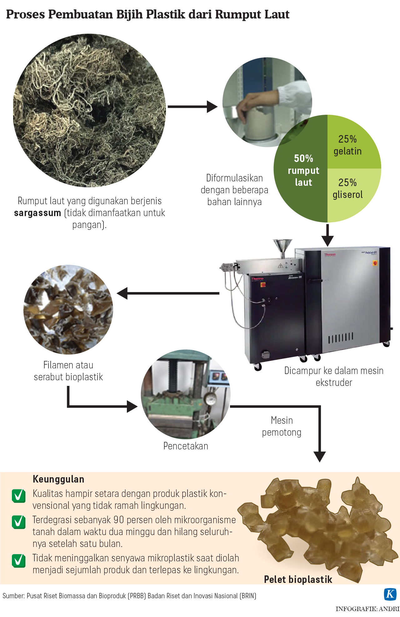 Berbagai Produk Rumput Laut Dikembangkan | JaSuDa.nET